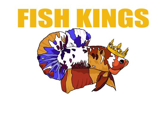 Fish Kings